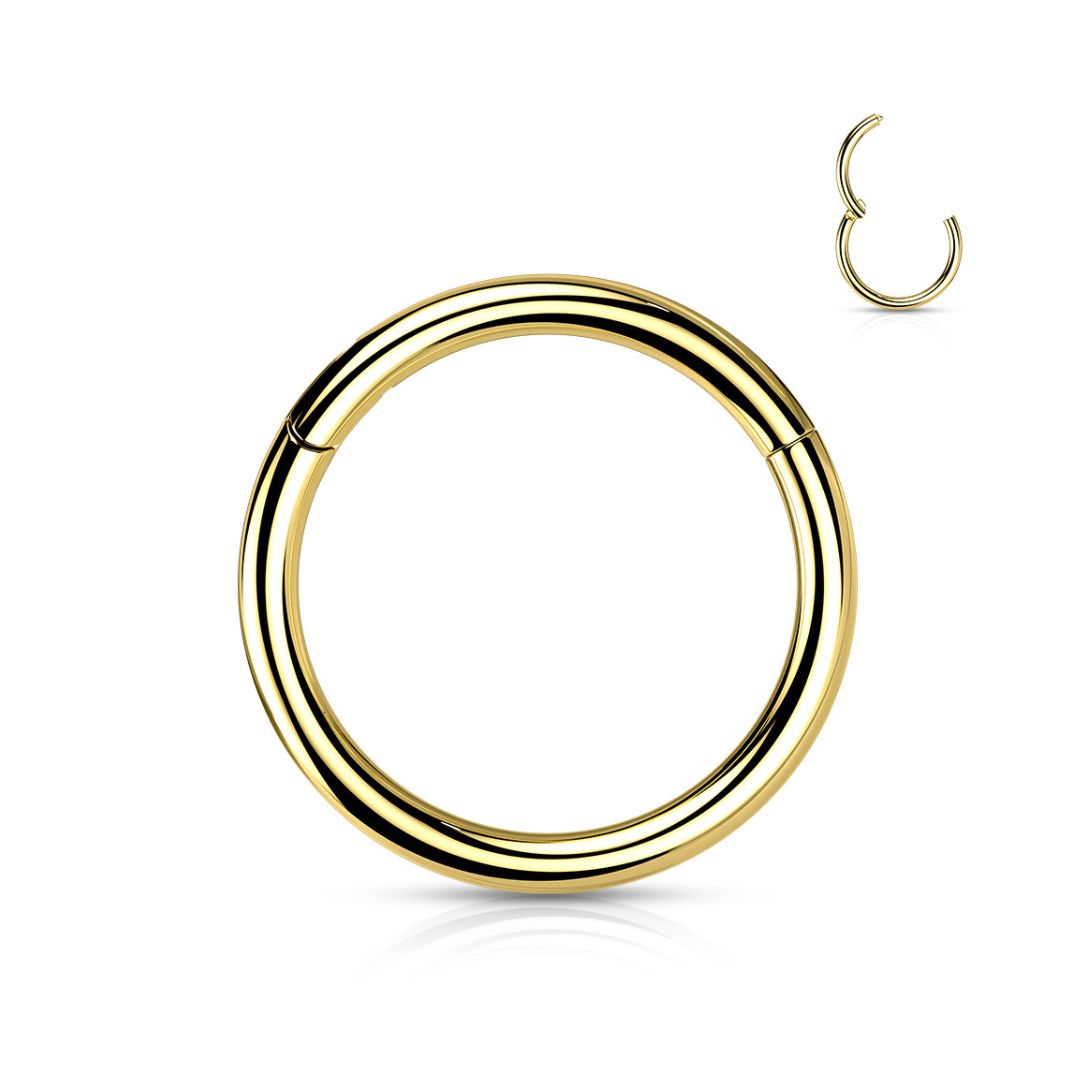Classic Titanium Hinge Hoop – MrInkwells
